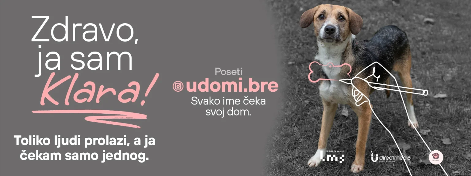 Hyundai predstavio humanoidnog robota